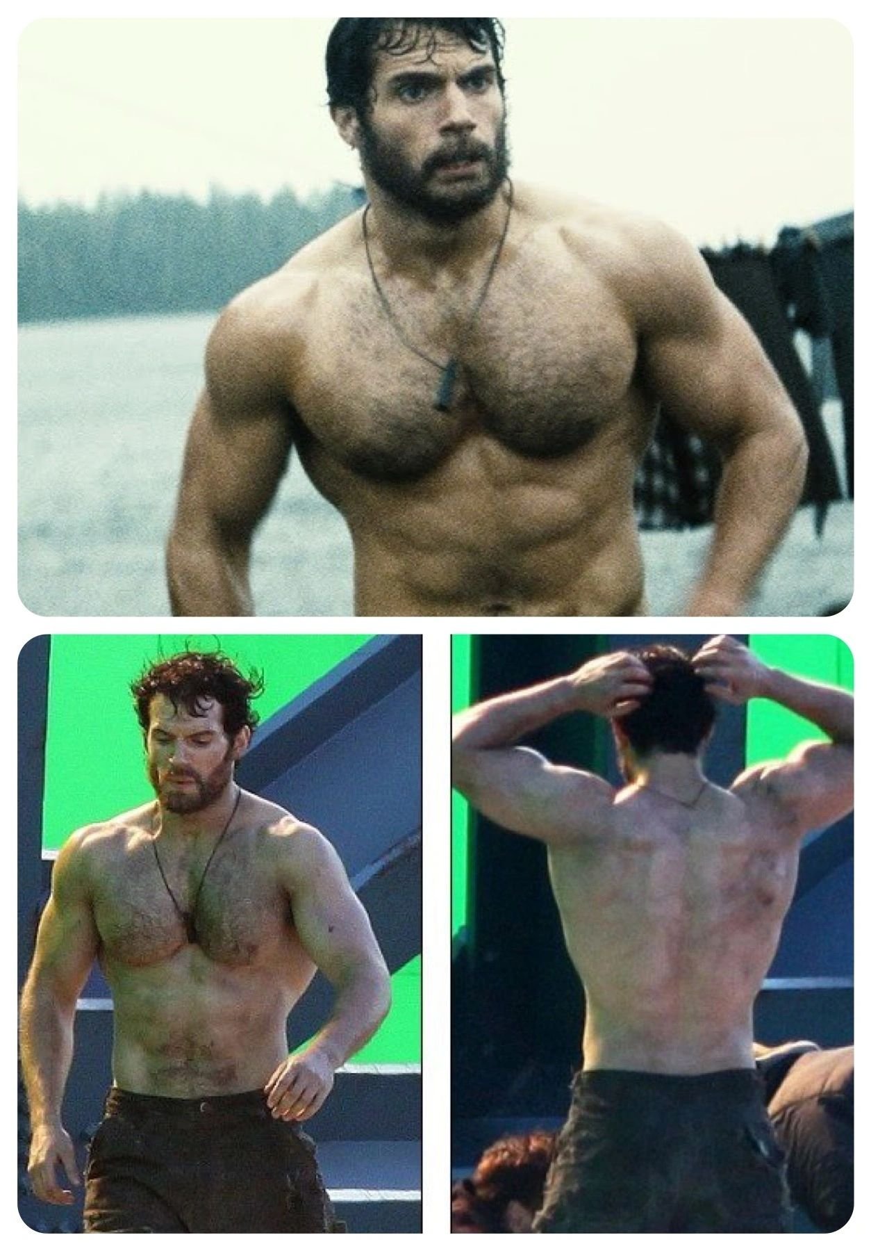 The Hollywood Physique: The Secrets of Body Transformations - thehenchnerd
